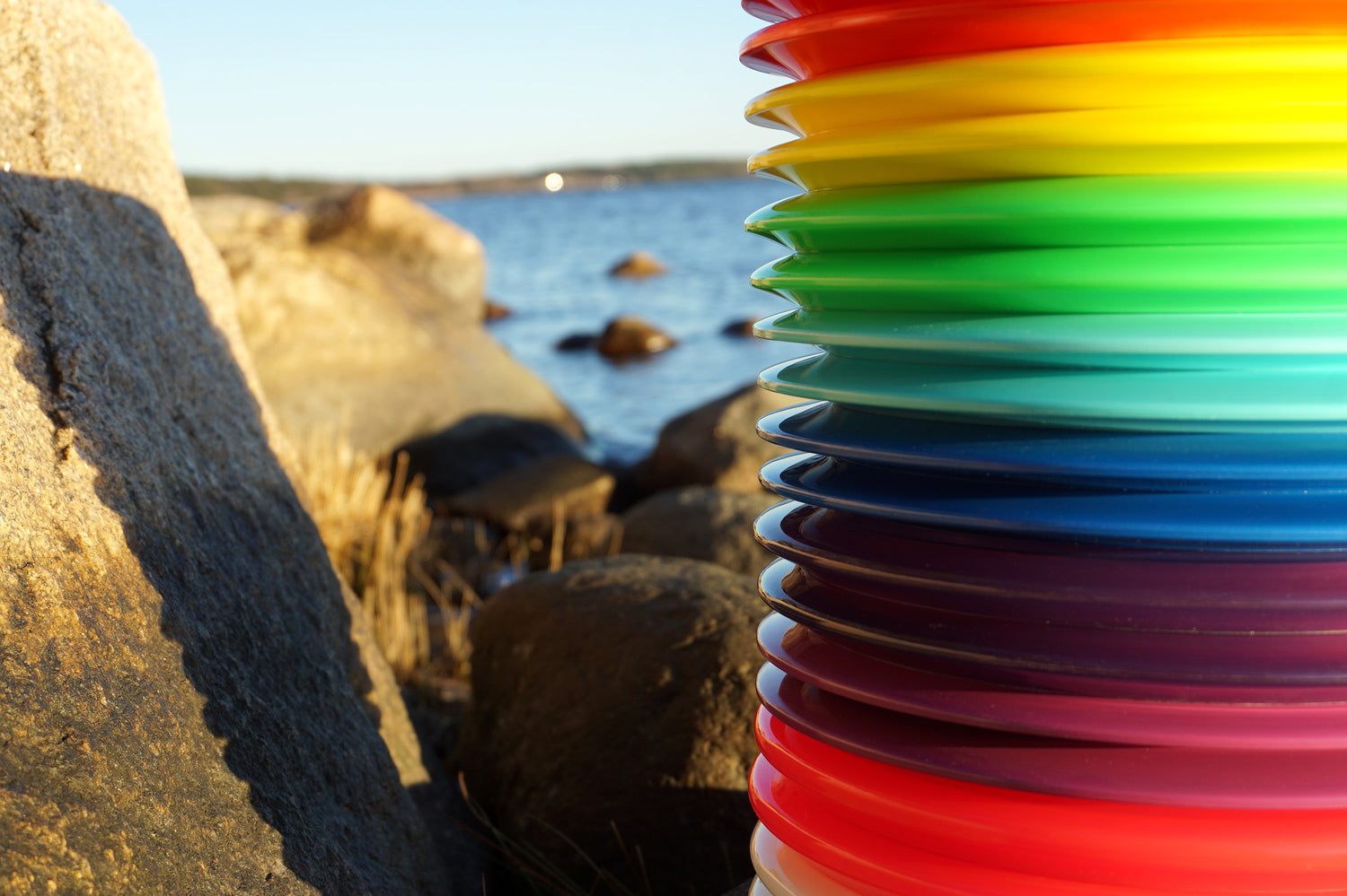 DISCGUIDE - Välj rätt disc snabbt och enkelt – Birdisc